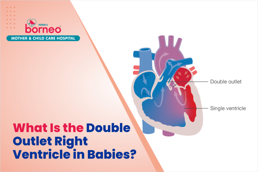 Double Outlet Right Ventricle (DORV) in Babies | Borneo Hospitals
